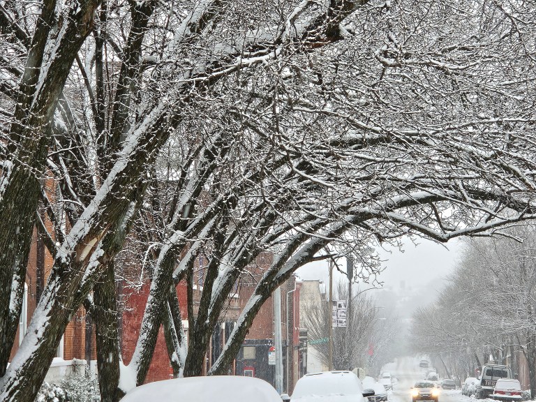 Down Cherokee Street – The Life You Could Have: a memoir