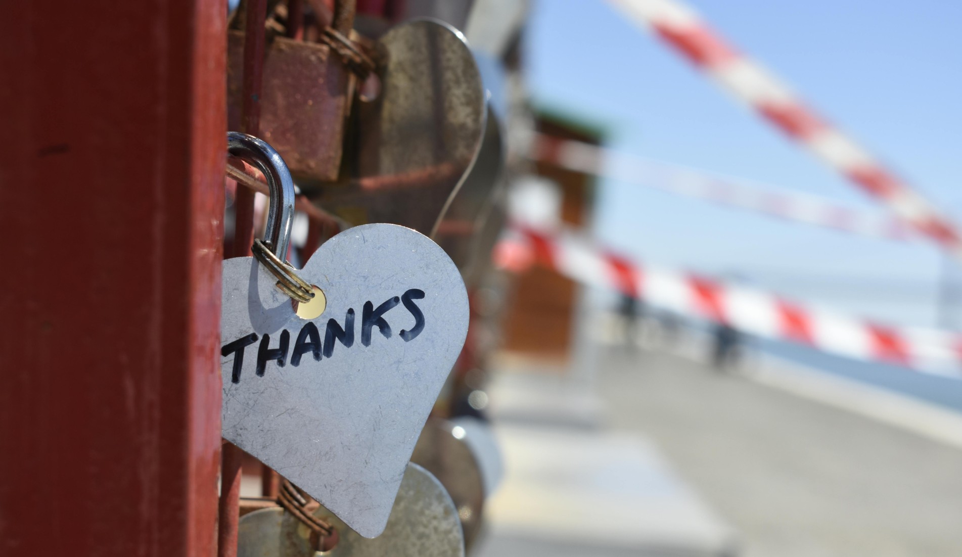 Acknowledgements – The Life You Could Have: a memoir